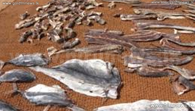 කුණු වෙච්ච කරවල පෙට්ටි සොයා මෙහෙයුම් - Hiru News - Srilanka's Number ...