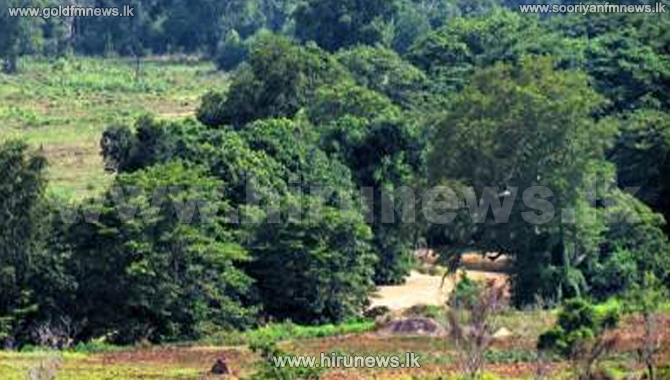 Sri Lanka to build 75 million dollars reservoir in the East - Hiru News ...