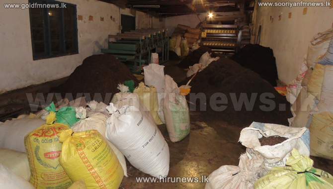 'Refuse tea' stock found in Welimada - Hiru News - Srilanka's Number ...