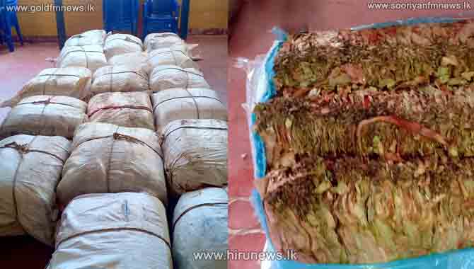 939 kilograms of Beedi leaves found from Mannar - Hiru News - Srilanka ...