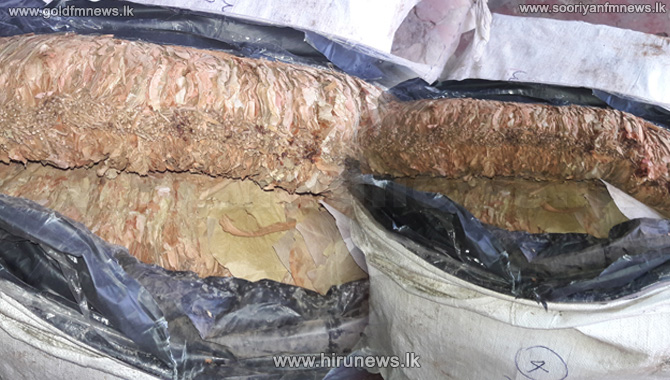 NAVY SEIZES 50 KILOS OF BEEDI LEAVES - Gold FM News - Srilanka's Number ...