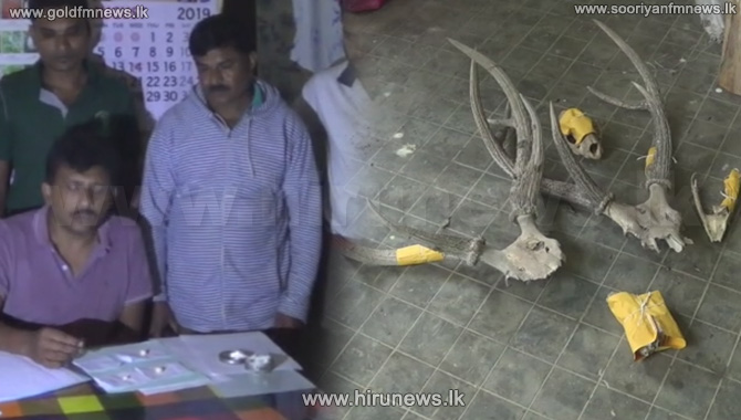 WILDLIFE OPERATION THAT APPREHENDED SUSPECTS WITH ANIMAL BONE PARTS AND ...
