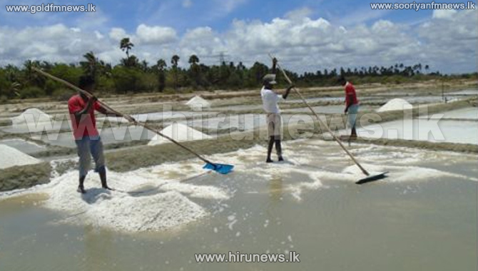 Salt manufacturers in Puttalam facing problems - Hiru News - Srilanka's ...