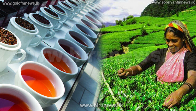 Tea prices increase in May - Hiru News - Srilanka's Number One News ...