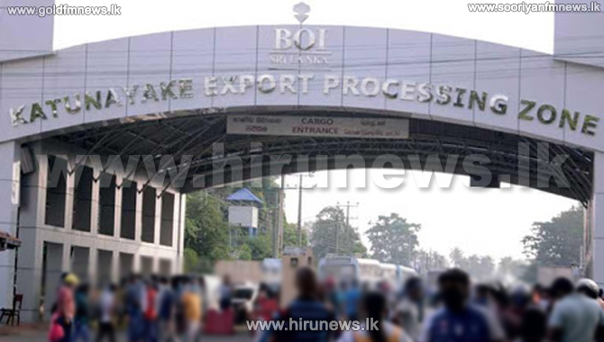 39 COVID-19 patients reported from Katunayake Free Trade Zone - Hiru ...