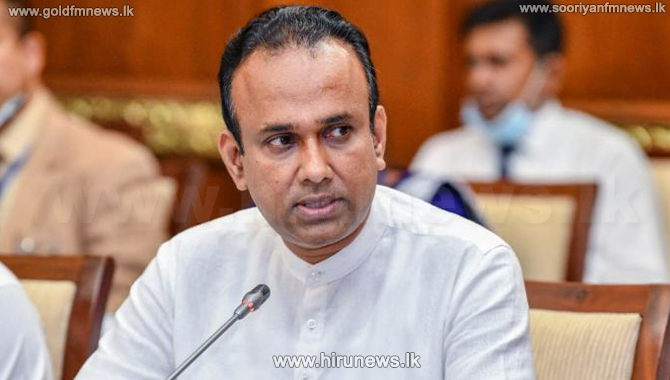 New laws to stop cutting down coconut trees - Hiru News - Srilanka's ...