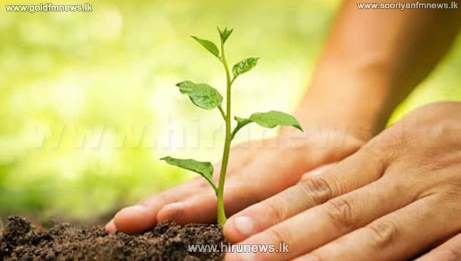 Sinhala & Tamil New Year: Auspicious time to plant trees to be held ...