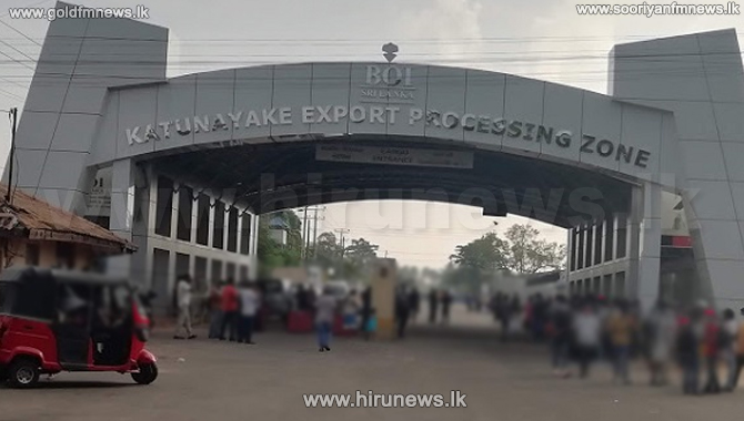 COVID vaccine for employees in Katunayake Export Processing Zone - Hiru ...