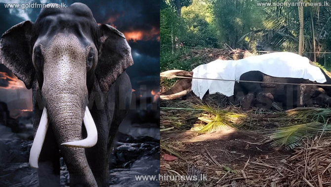 "Nadungamuwe Raja" named as a national treasure (Video) - Gold FM News ...