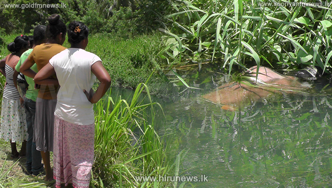 ඇළ මාර්ගයක පුද්ගල මළ සිරුරක් - Hiru News - Srilanka's Number One News ...