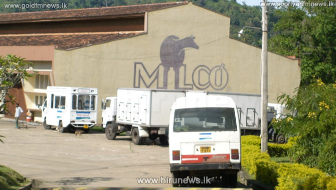 Milco employees involved in Fuel fraud given compulsory leave - Gold FM ...