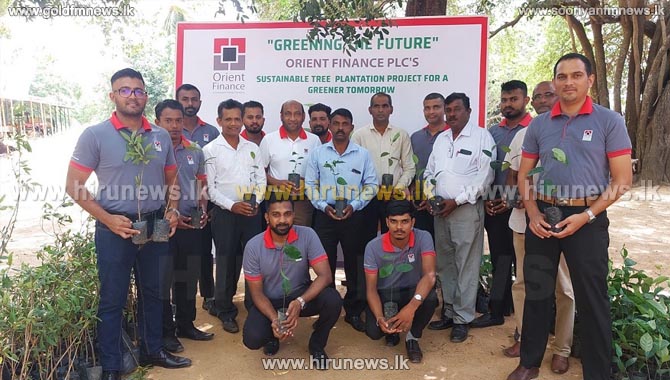 Orient Finance PLC Celebrates 42nd Anniversary with a Greener Vision ...