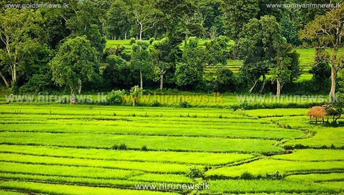 Survey & mapping of national paddy fields by Department of Agricultural ...