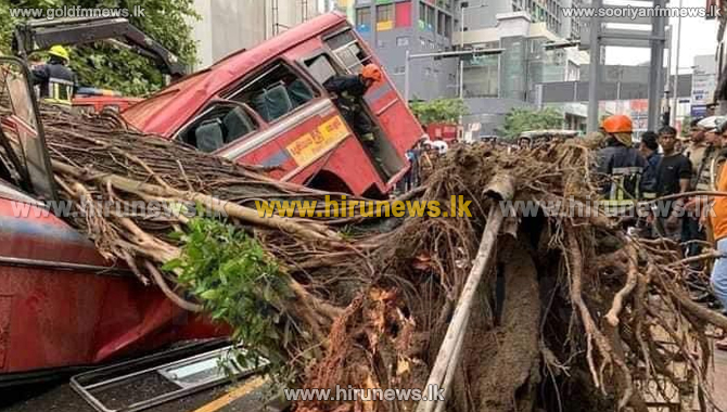 Tree falls on Bus at Duplication Road in Colombo, five passengers killed, 17 injured (Photos ...