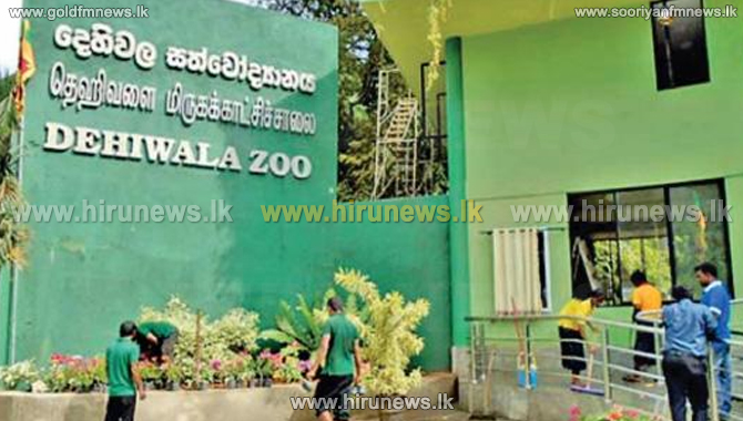 Dehiwala Zoo - Several animals living alone without companions - Hiru ...