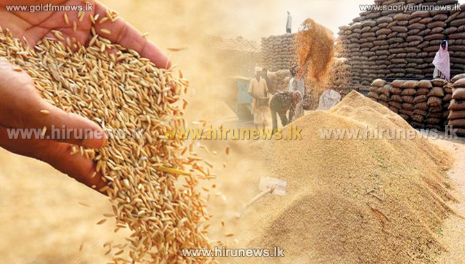 Government has failed to purchase paddy - Ampara farmers in disarray ...