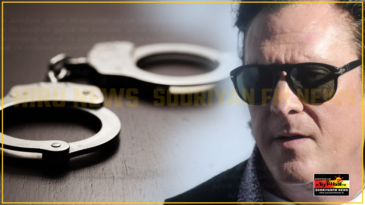Actor Madsen arrested on domestic violence charge - Gold FM News ...