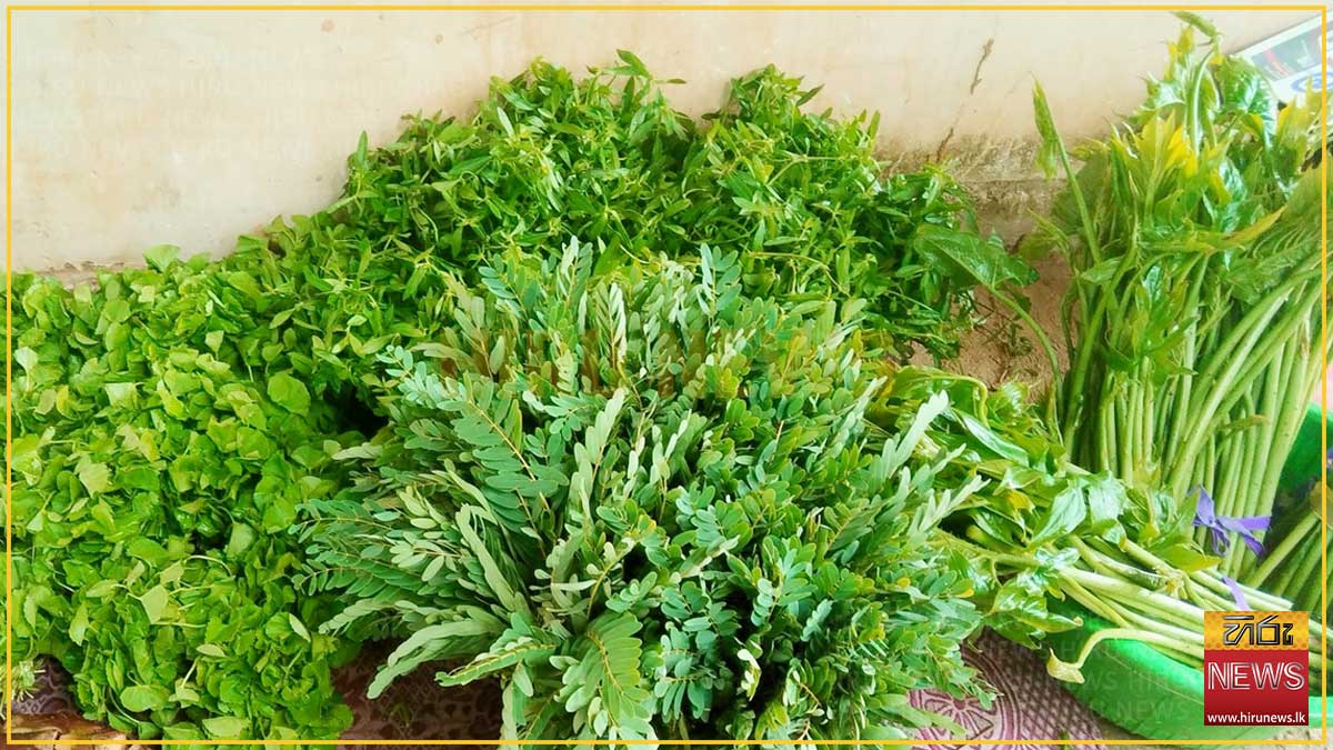 මේ දවස්වල පලා කන්නේ පරිස්සමින් - Hiru News - Srilanka's Number One News ...