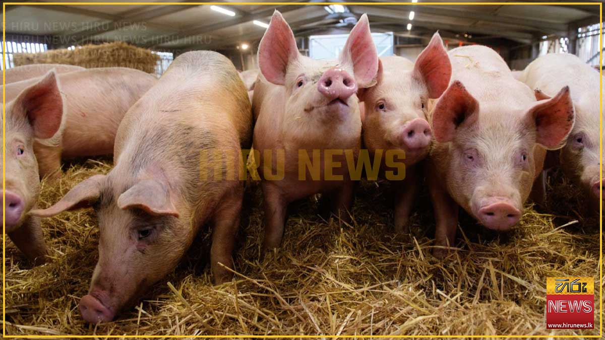 All DS areas declared as infected or suspected areas of infection for ...