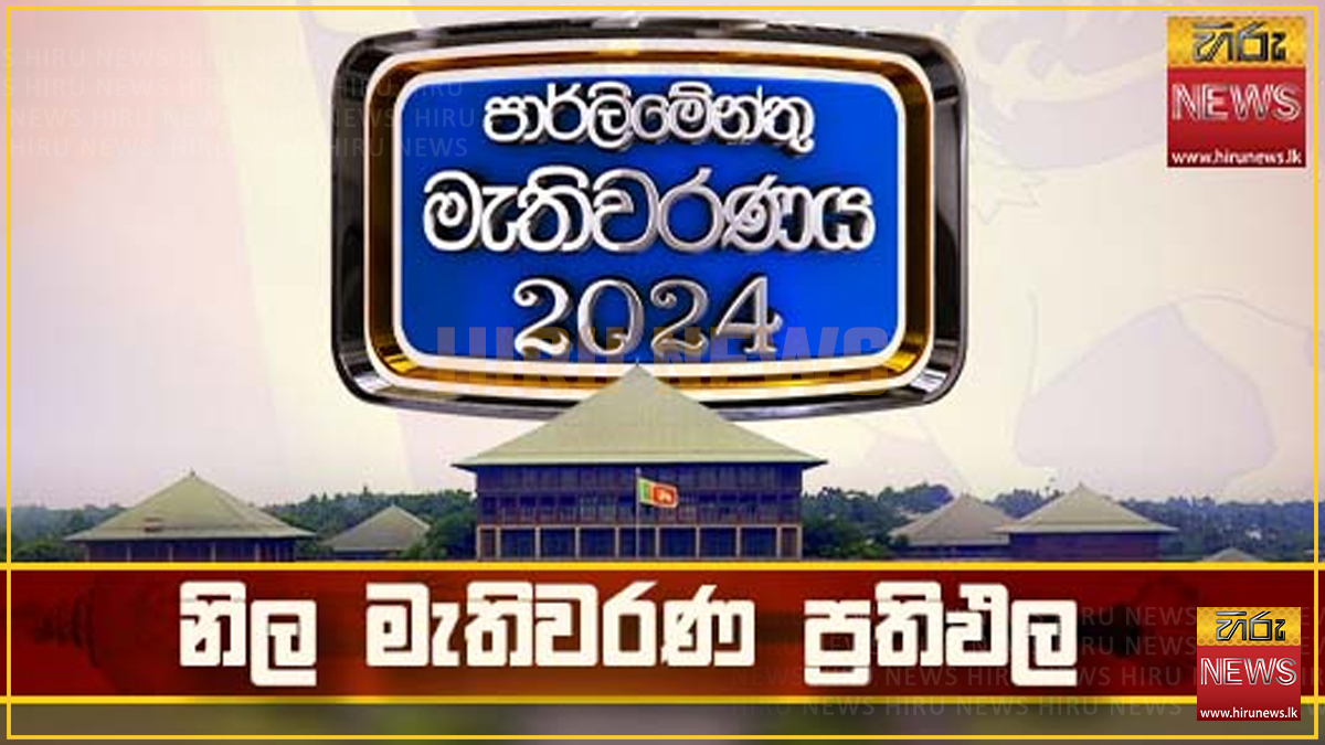 Full and final results of the 2024 parliamentary election - NPP secures ...