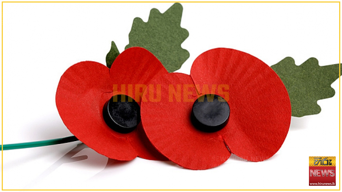 Poppy flower celebration to honor war heroes on November 24 - Hiru News ...