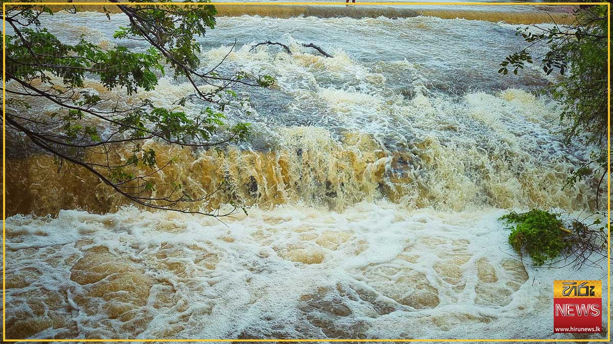 Floods devastate over 64,000 hectares of paddy fields in Northern ...