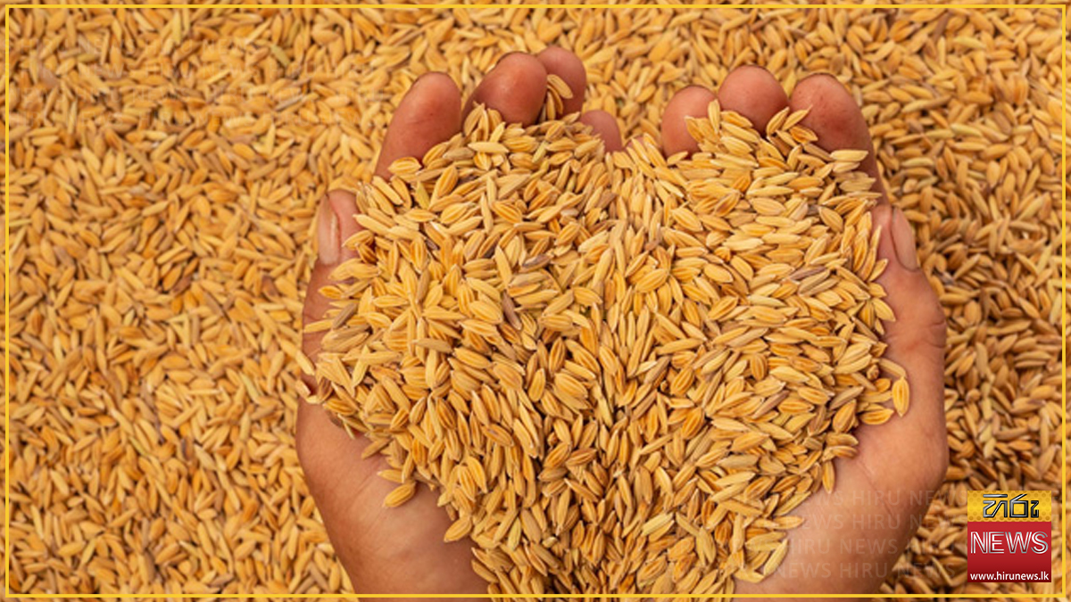New paddy price and other updates announced - Hiru News - Srilanka's ...