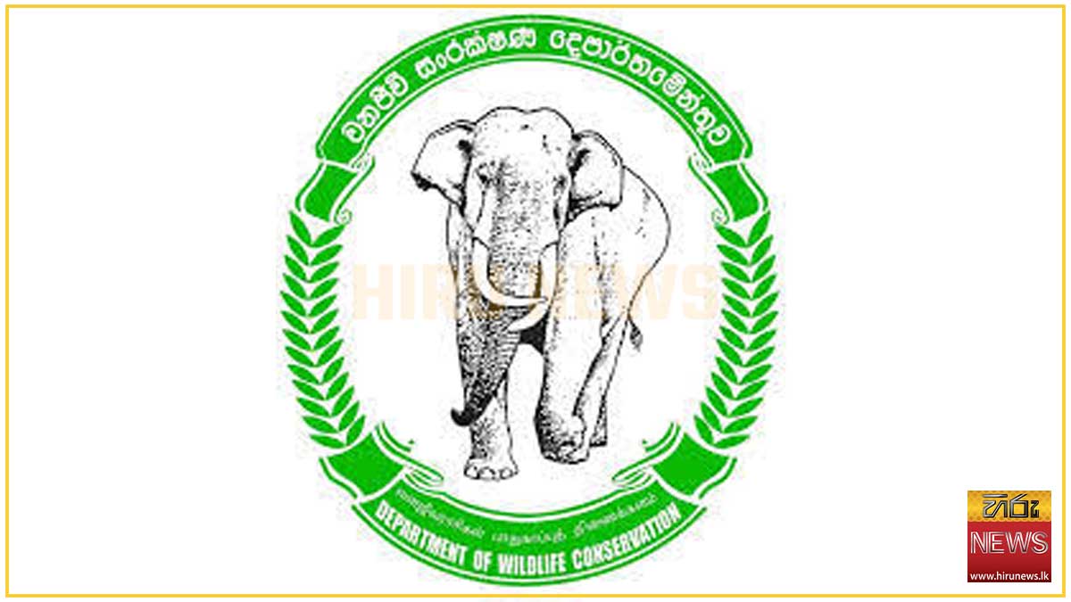 WILDLIFE DEPARTMENT APPOINTS 3,451 TRAINEES TO PERMANENT POSITIONS ...