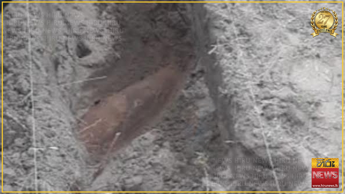 UNEXPLODED ANTI-AIRCRAFT MISSILE FOUND IN JAFFNA GARDEN - Gold FM News ...