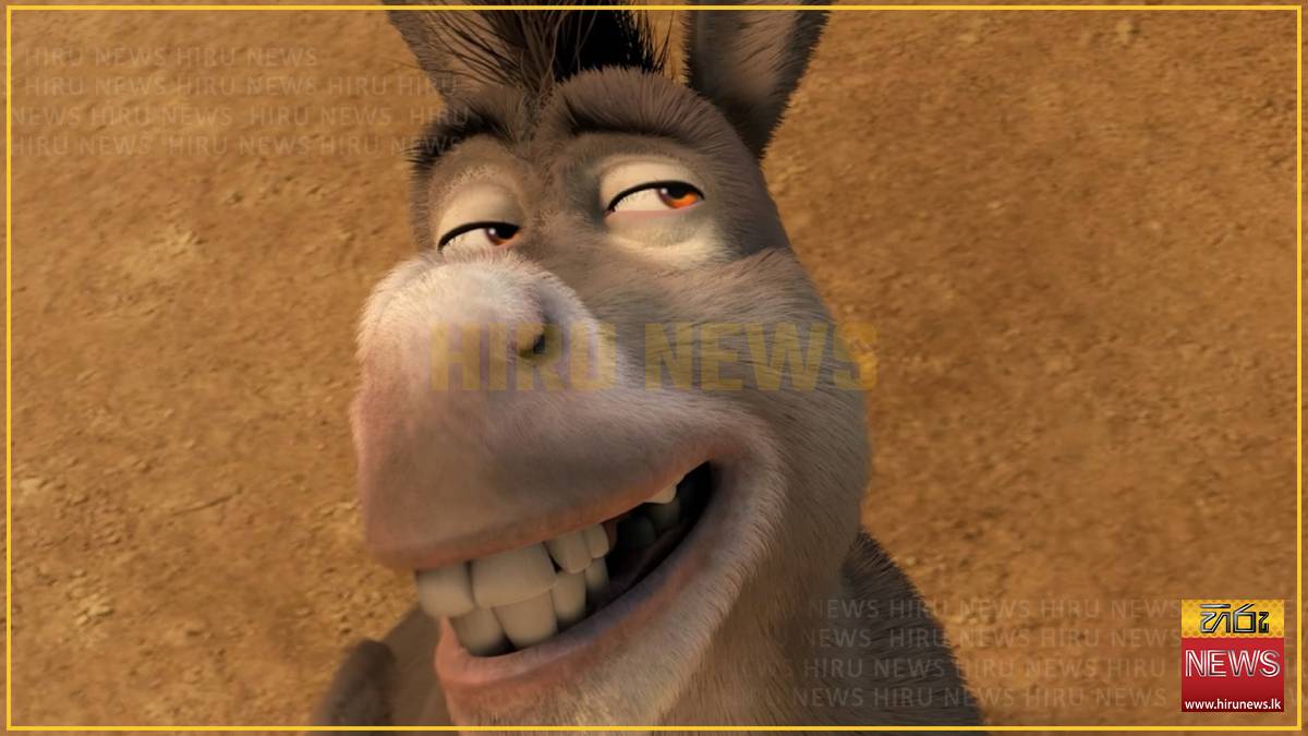 SHREK'S DONKEY TO GET HIS OWN SPIN-OFF - Hiru News - Srilanka's Number ...