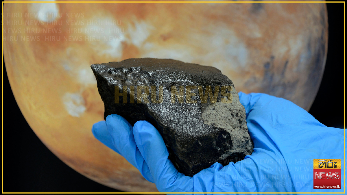 NIGER OPENS INVESTIGATION AFTER SOTHEBY’S AUCTION OF MARTIAN METEORITE ...