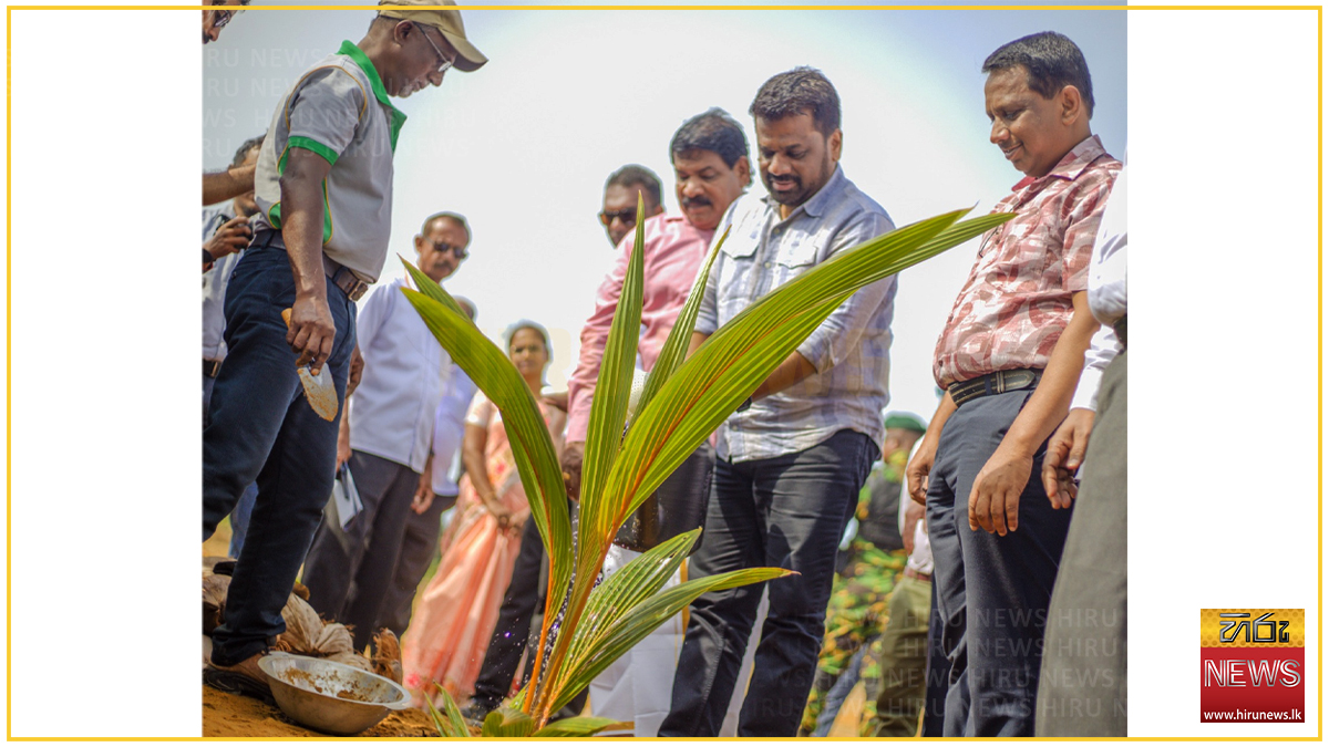 උතුරේ පොල් ත්‍රිකෝණය ජනපති අරඹයි - Hiru News - Srilanka's Number One ...