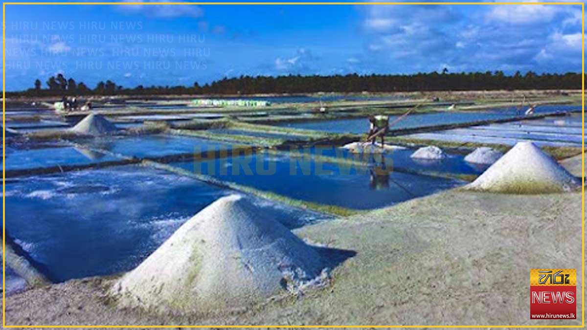 No further need for salt imports, says Lanka Salt Company - Hiru News - Srilanka's Number One ...