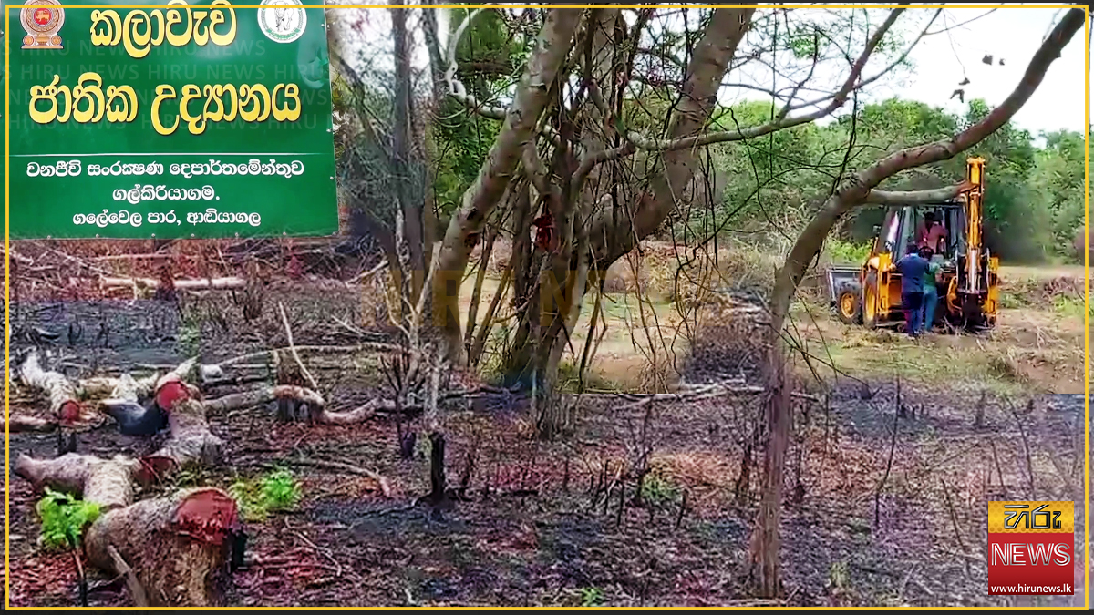 Five arrested over alleged illegal clearance of Kahalla Pallekele ...