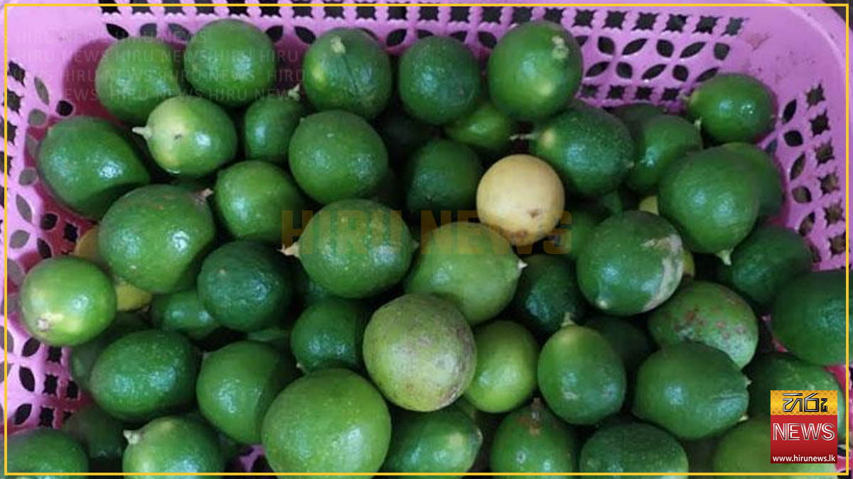 Lime prices soar, egg prices drop - Gold FM News - Srilanka's Number ...