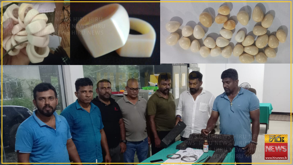 Largest haul of elephant pearls seized in Mahiyanganaya - Hiru News ...