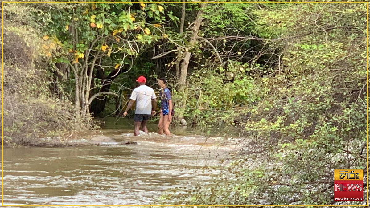 Tourists rescued after being stranded in Wilpattu National Park due to ...