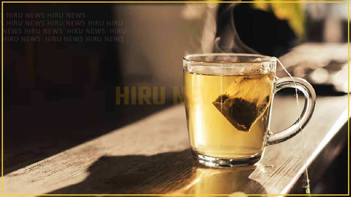 Sri Lankan tea industry: January-September 2025 overview - Hiru News ...