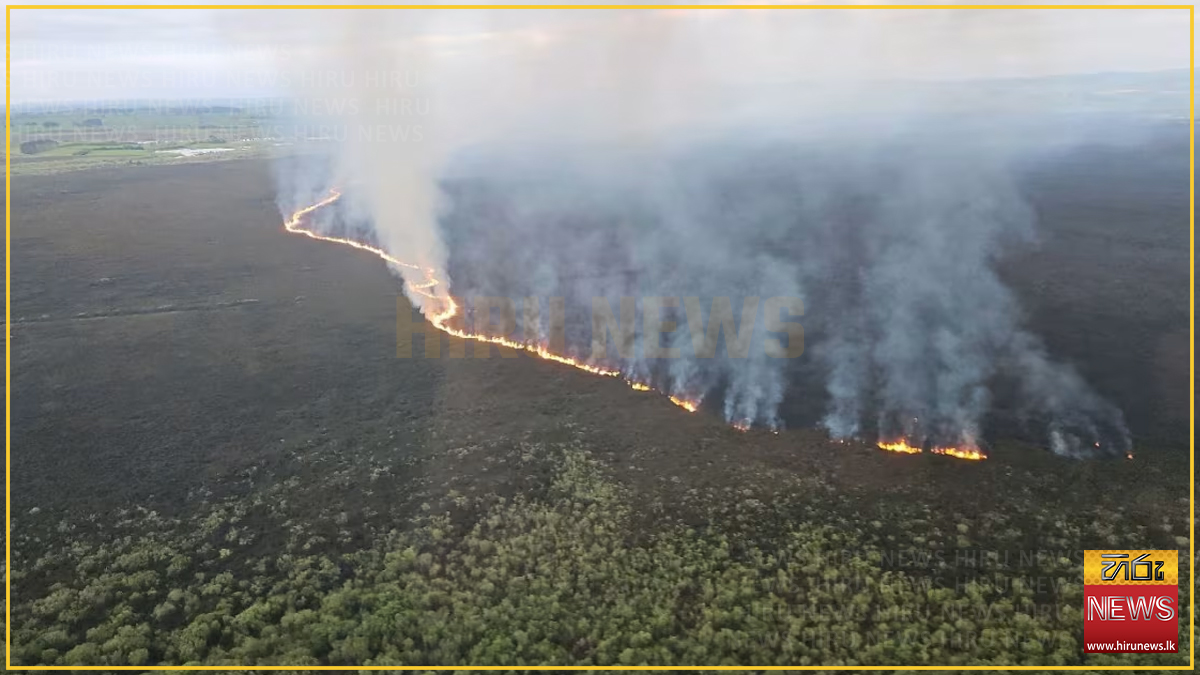 Firefighters battle 1,000-hectare blaze in New Zealand’s Tongariro Park ...