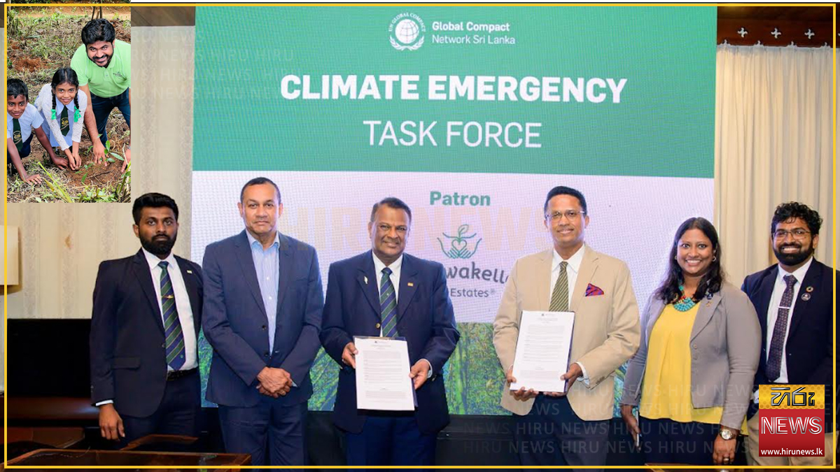 Talawakelle Tea Estates named Patron of UN climate task force - Gold FM ...