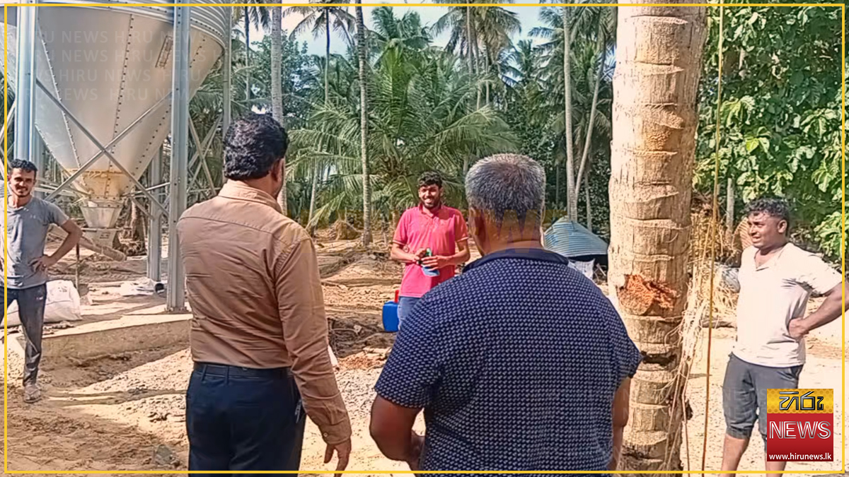 බිත්තර නිපැයුමට මරුපහර වැදි MAM Farm ඇමති නාමල්ගේ නිරීක්ෂණයට - Hiru ...