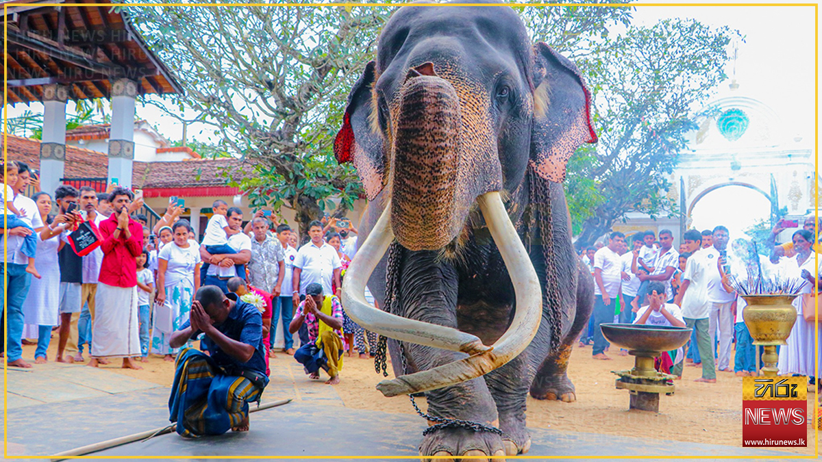 වාසනා කඳසුරිඳු පුදයි - Hiru News - Srilanka's Number One News Portal ...