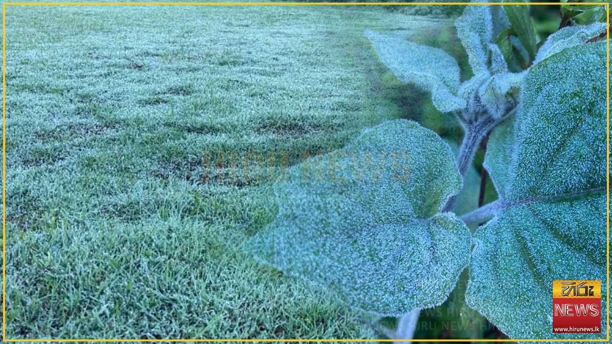 Frost covers Nuwara Eliya as temperatures drop - Gold FM News ...