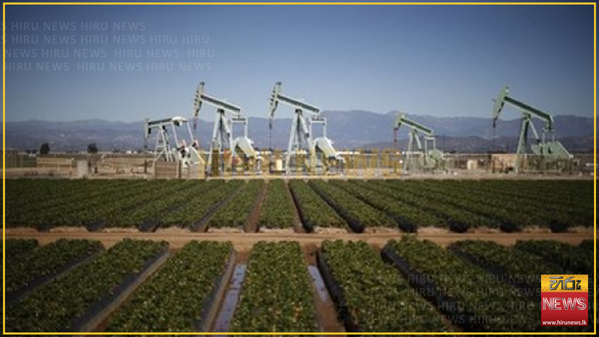 Italy joins IEA oil reserve release with 9 million barrels - Hiru News ...