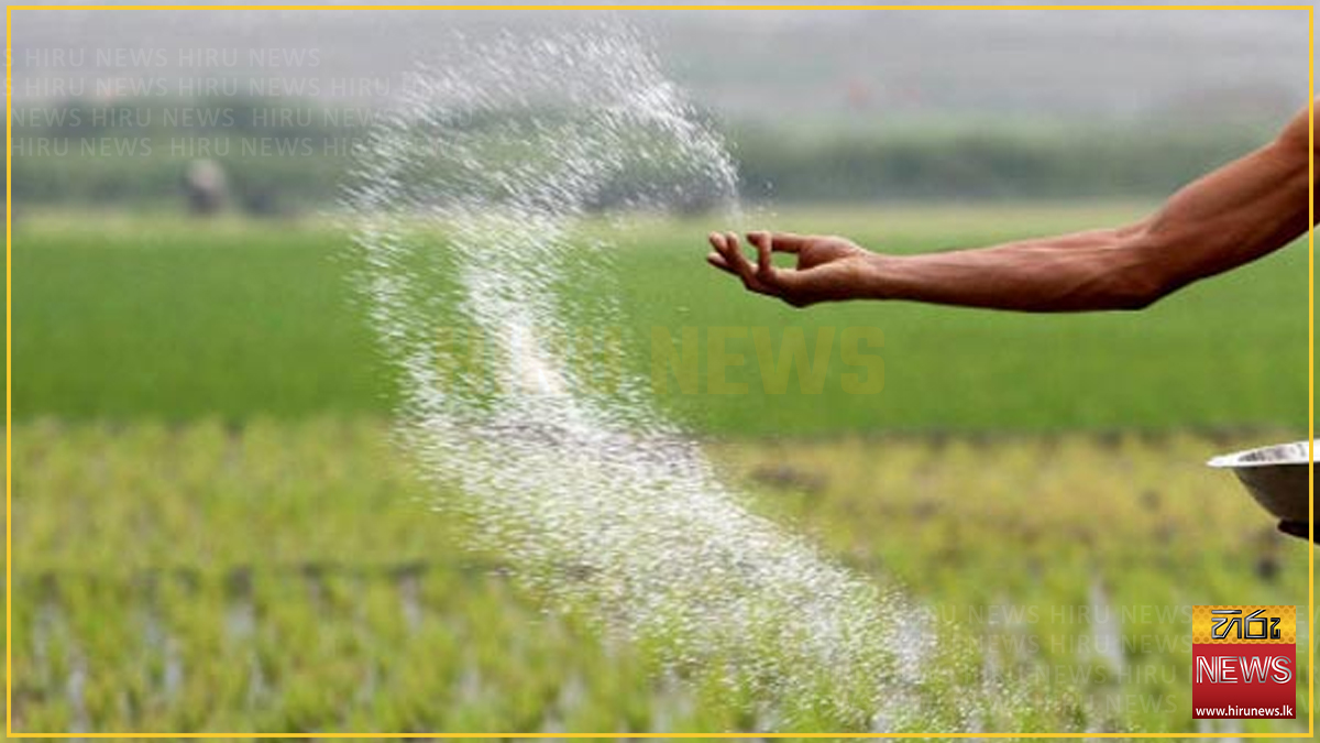 Urea fertiliser shortages concern farmers ahead of Yala season - Hiru ...