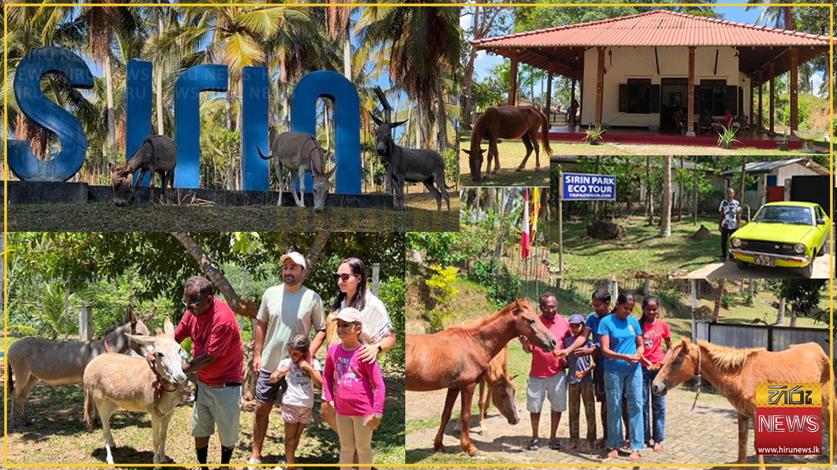 Sirin Park Baddegama introduces animal therapy, redefining hospitality ...
