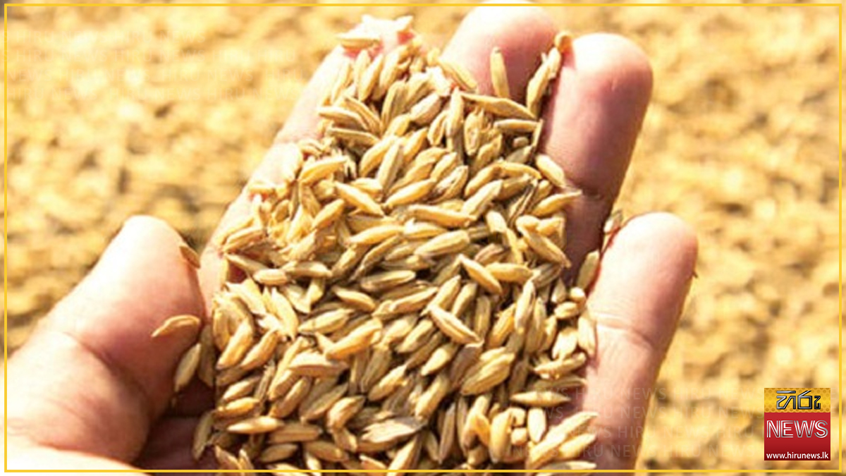 Cabinet approves open tender sale for PMB rice stocks - Gold FM News ...