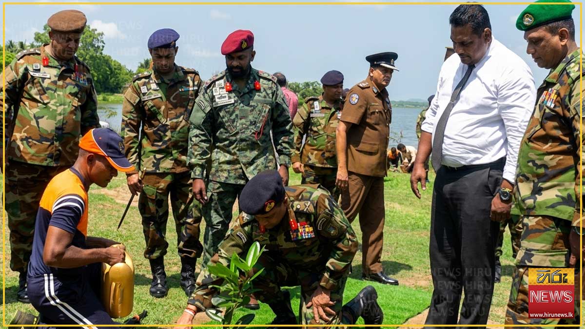 Tree planting drive launched near Irakkamam tank in Ampara - Gold FM ...